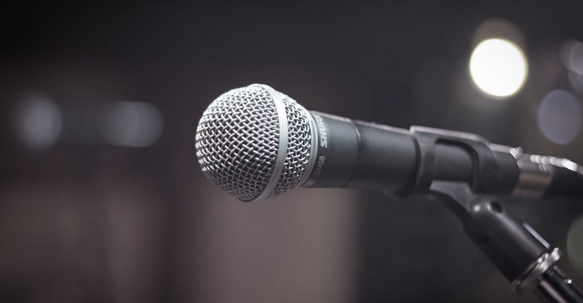 What is the Best Cheap Dynamic Microphone? - Voice Over Tip