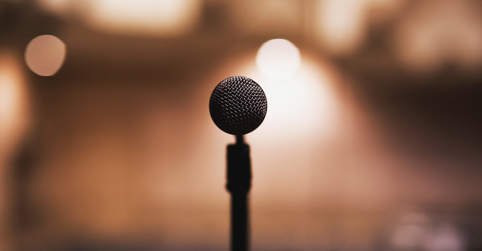 How to Do Stitch Voice Impression? - Voice Over Tip