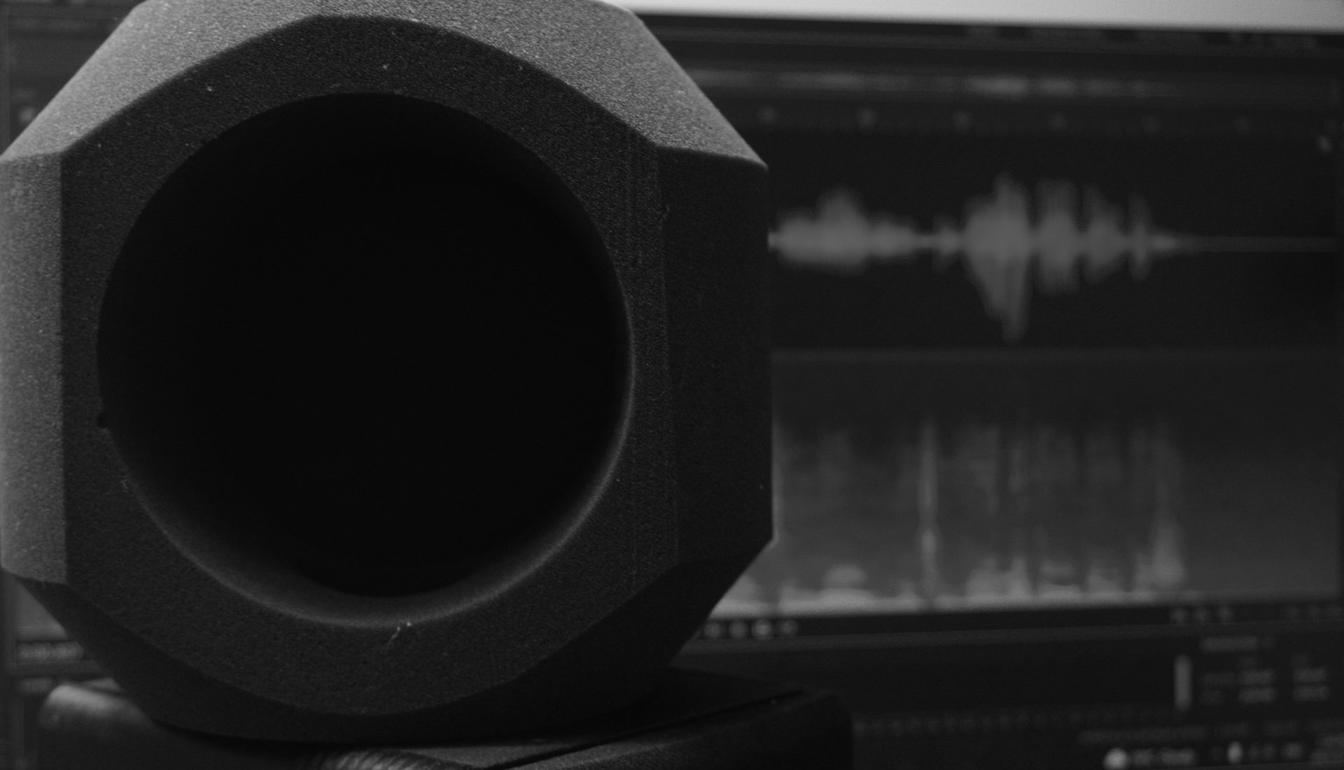 How Do Microphone Isolation Shields Work? - Voice Over Tip